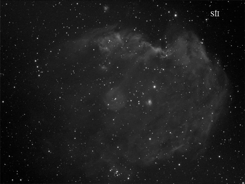 monkey nebula a/k/a Sh2-252, ngc 2174,5 - Experienced Deep Sky Imaging ...